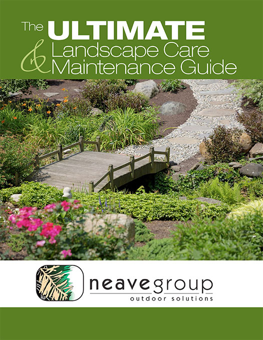 Landscape Care & Maintenance Guide for New York and Connecticut