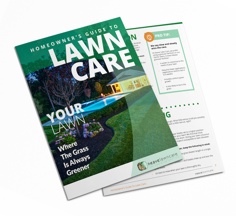 Homeowner's Guide Guide To Lawn Care for New York and Connecticut